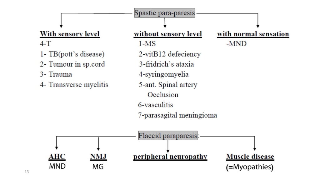 Approach to muscle weakness