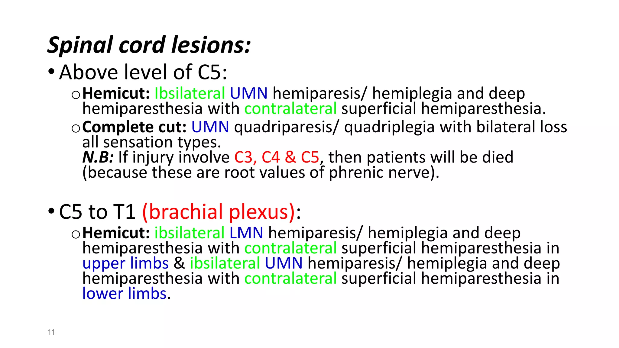 Approach to muscle weakness | PDF