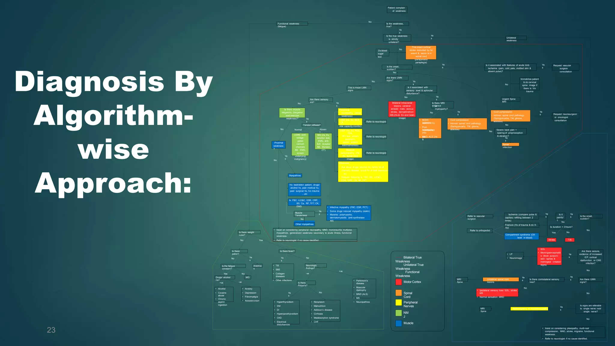 approachtomuscleweakness modified- By Sir Ghani.pptx