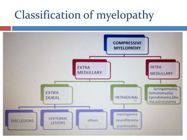 Approach to myelopathy | PPTX | Brain and Nervous System Disorders ...