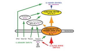 Approach to nausea and vomting- general medicine- gastroenterology | PDF