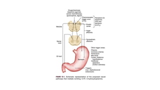 Approach to nausea and vomting- general medicine- gastroenterology | PDF