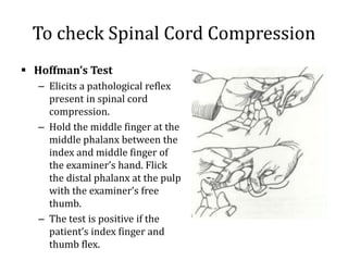 Approach to neck pain | PPTX