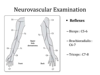 Approach to neck pain | PPTX