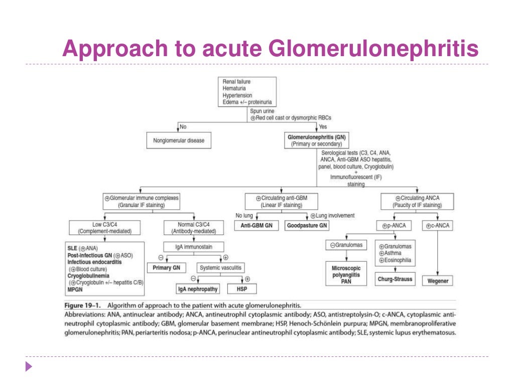 Approach to nephrotic syndrome