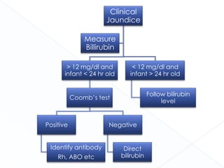 Approach to neonatal jaundice | PPSX