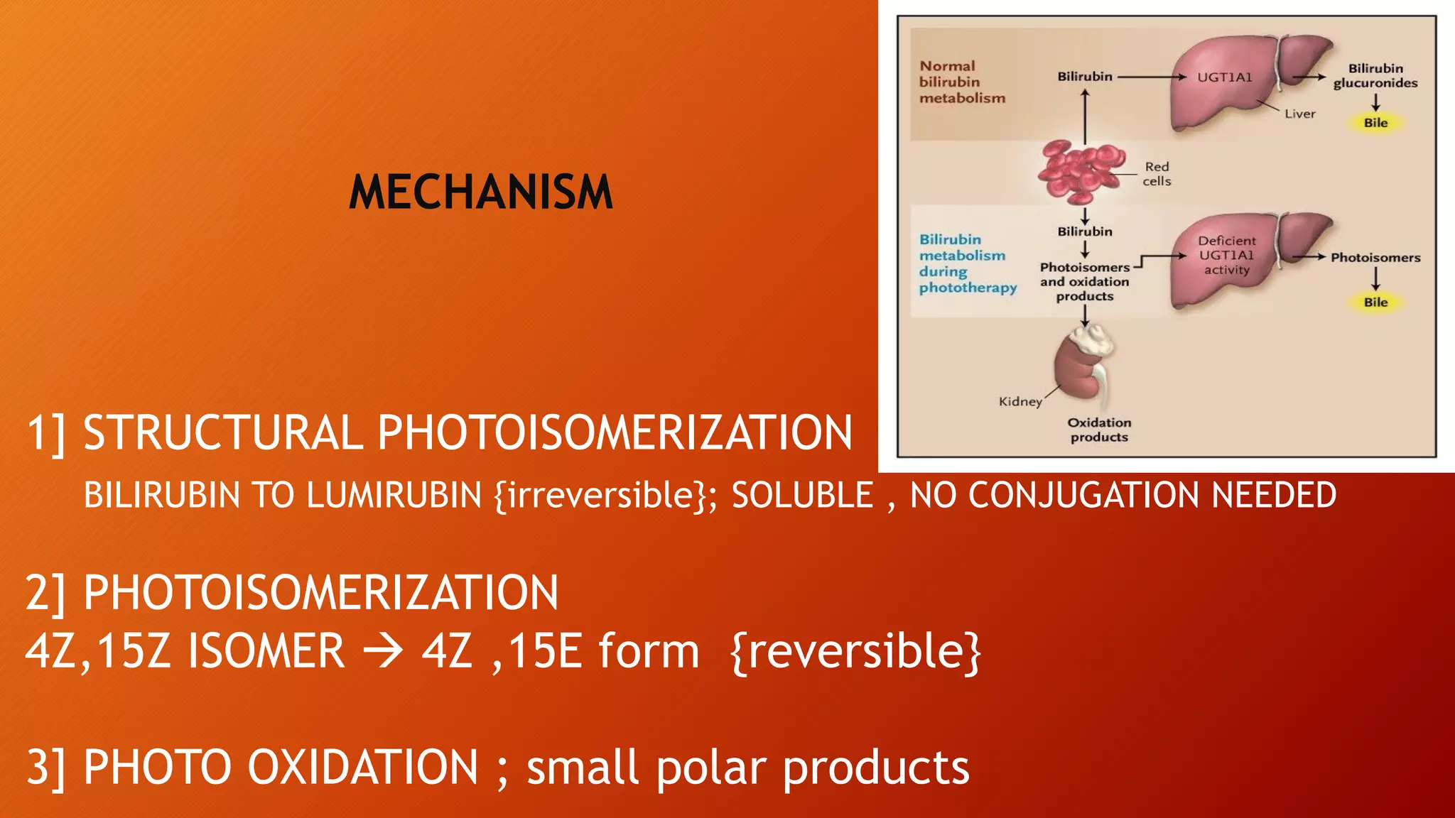 Approach to neonatal jaundice | PDF