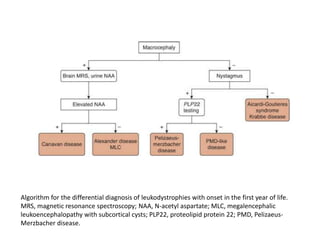 Approach to neurodegenerative disorders new praman | PPTX