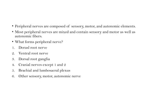Approach to Neuropathy anatomy, detailed.pptx
