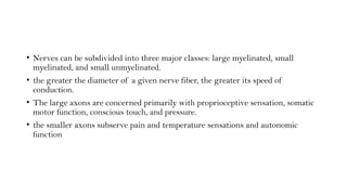 Approach to Neuropathy anatomy, detailed.pptx