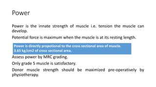 Approach to paralytic hand IOM Peripheral Nerve | PPTX