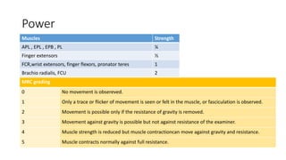 Approach to paralytic hand IOM Peripheral Nerve | PPTX
