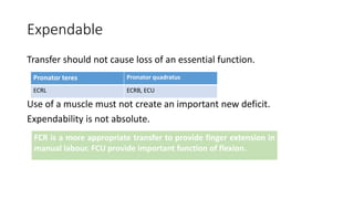 Approach to paralytic hand IOM Peripheral Nerve | PPTX