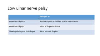 Approach to paralytic hand IOM Peripheral Nerve | PPTX
