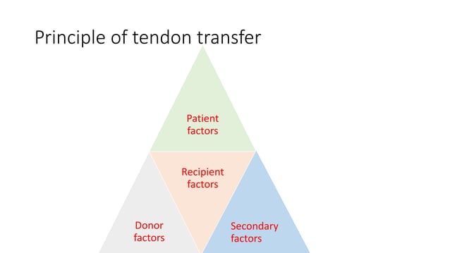 Approach to paralytic hand IOM Peripheral Nerve | PPT