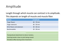 Approach to paralytic hand IOM Peripheral Nerve | PPTX