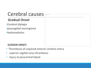 Approach to a case of paraparesis .pptx
