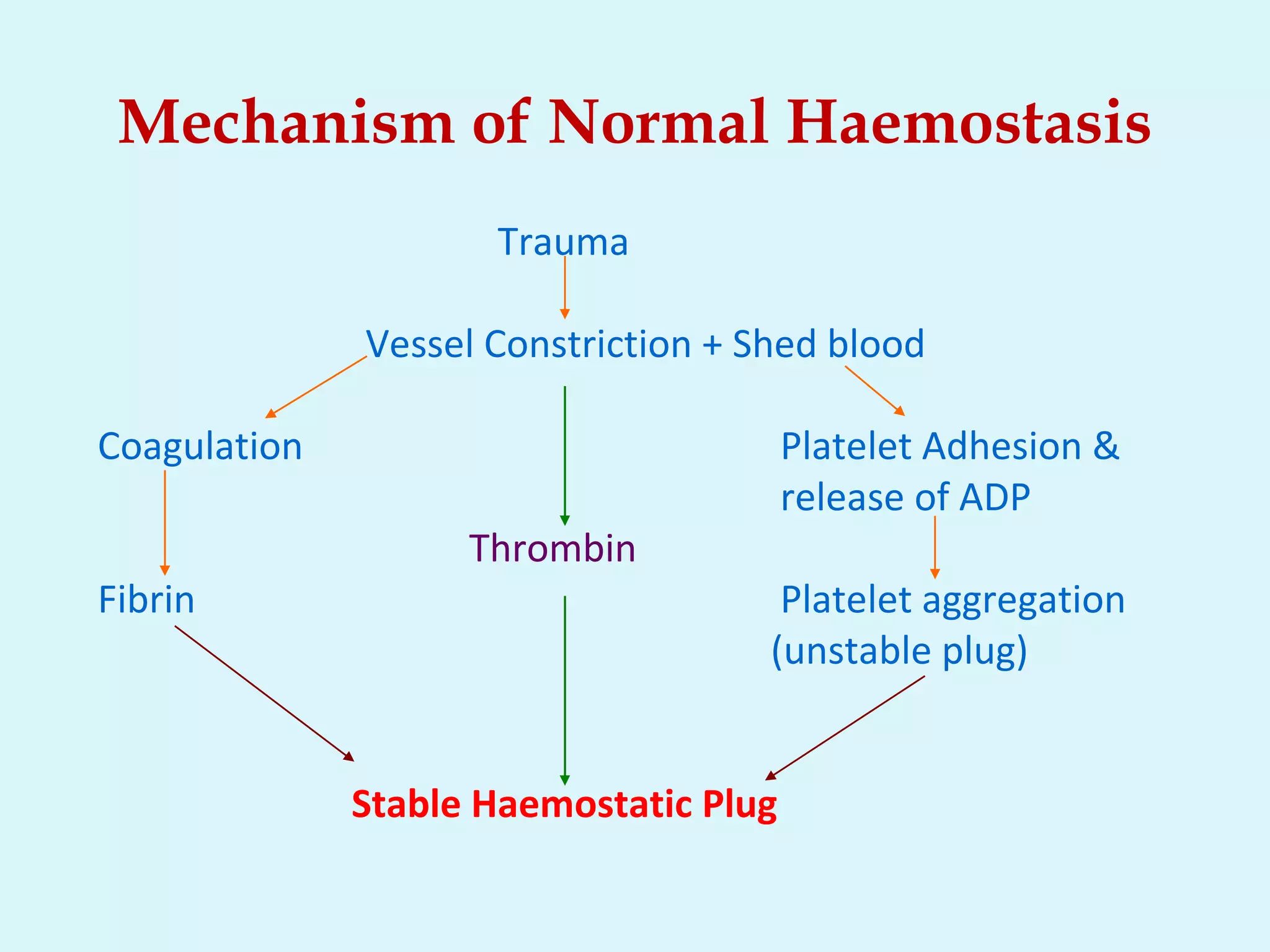 Approach to patients with bleeding disorders | PPT