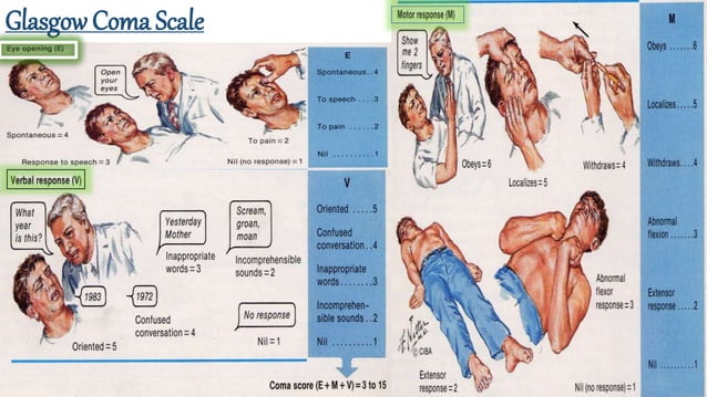 Approach to patient with altered sensorium | PPTX | Brain and Nervous ...