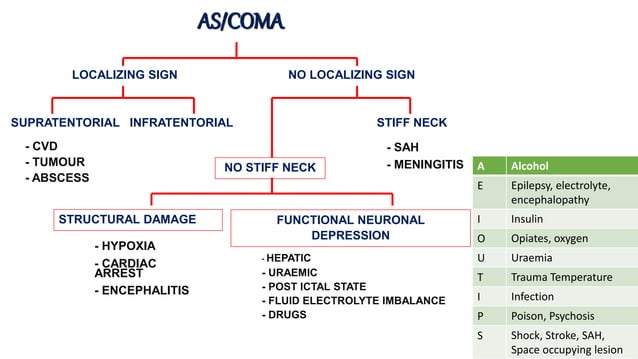 Approach to patient with altered sensorium | PPTX | Brain and Nervous ...