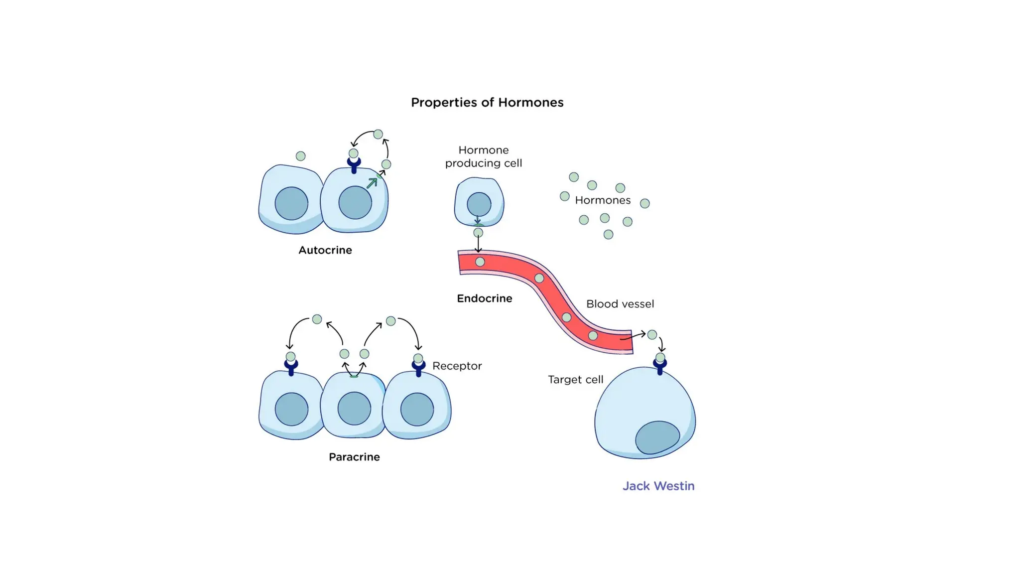 approach to patient with endocrinology diseae.pptx