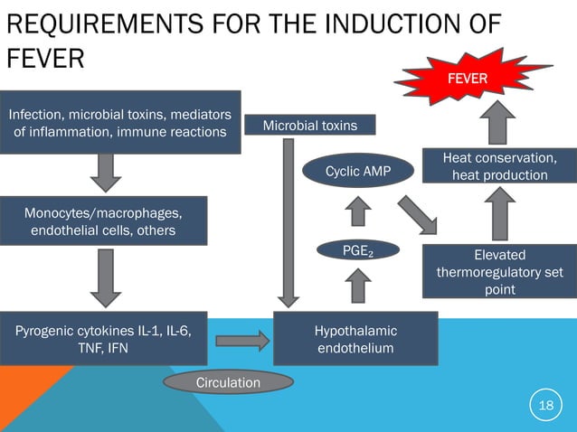 Approach to patient with fever | PDF | Infectious Diseases | Diseases ...