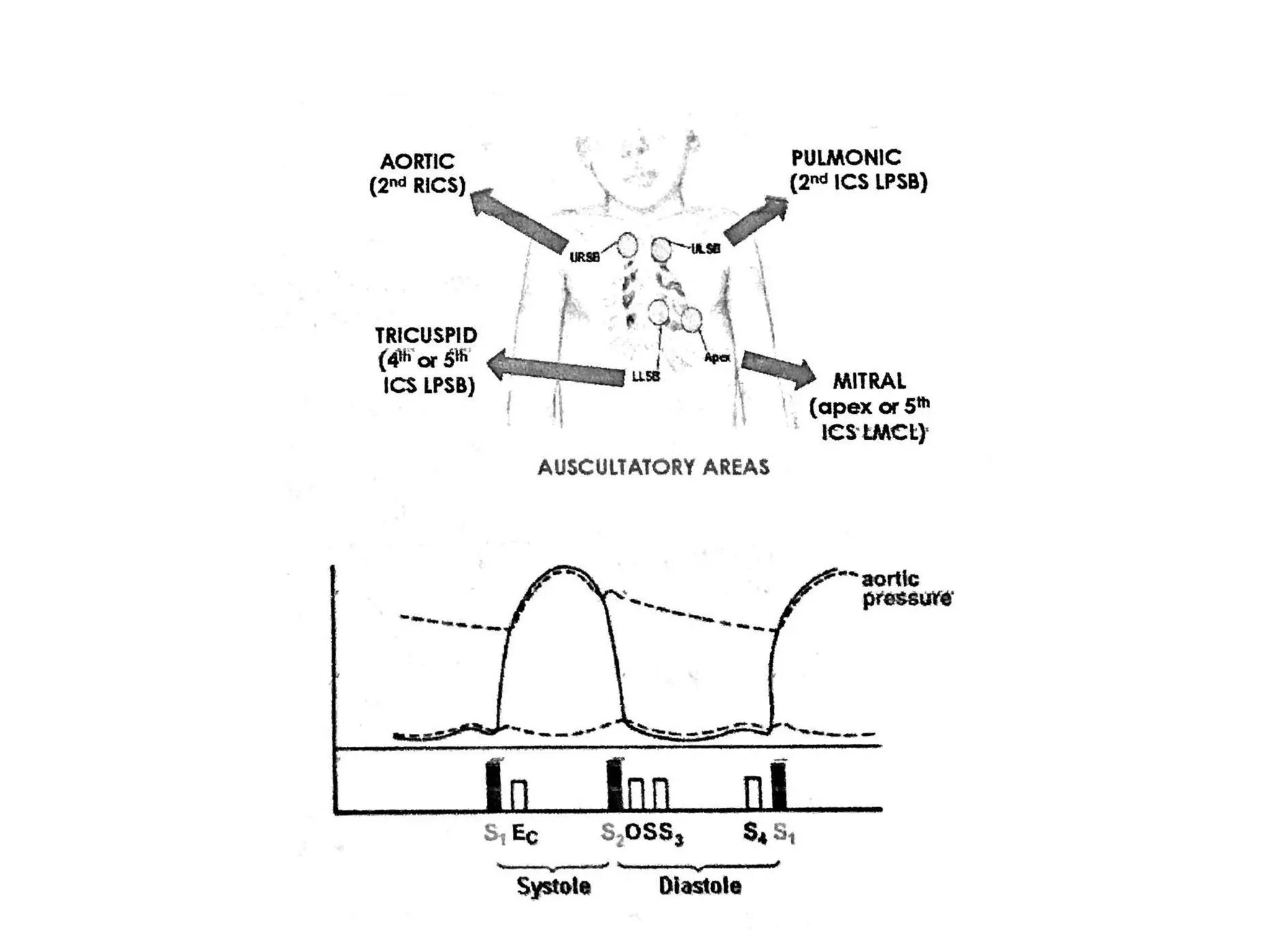 Approach to pedia cardio.pptx