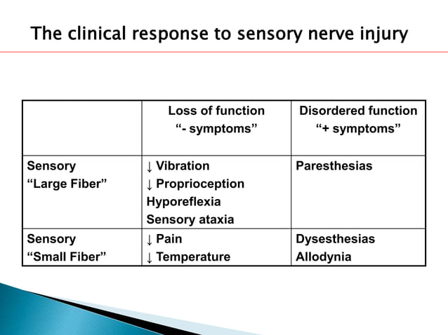 Approach to peripheral neuropathy | PPTX
