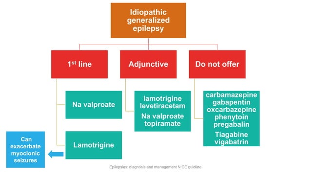 Approach to pharmacological treatment of epilepsy | PPT