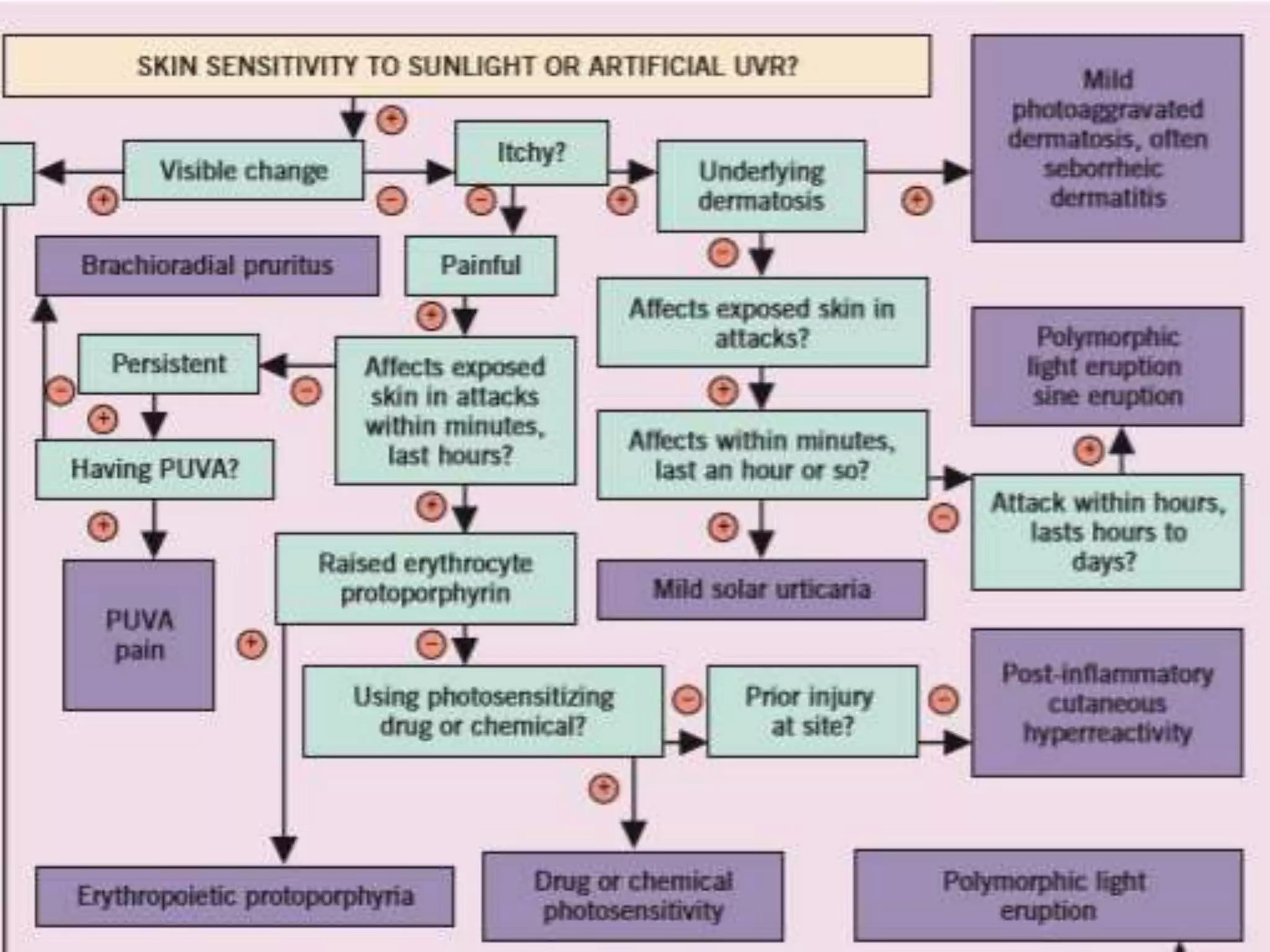 Approach to photodermatoses | PPTX