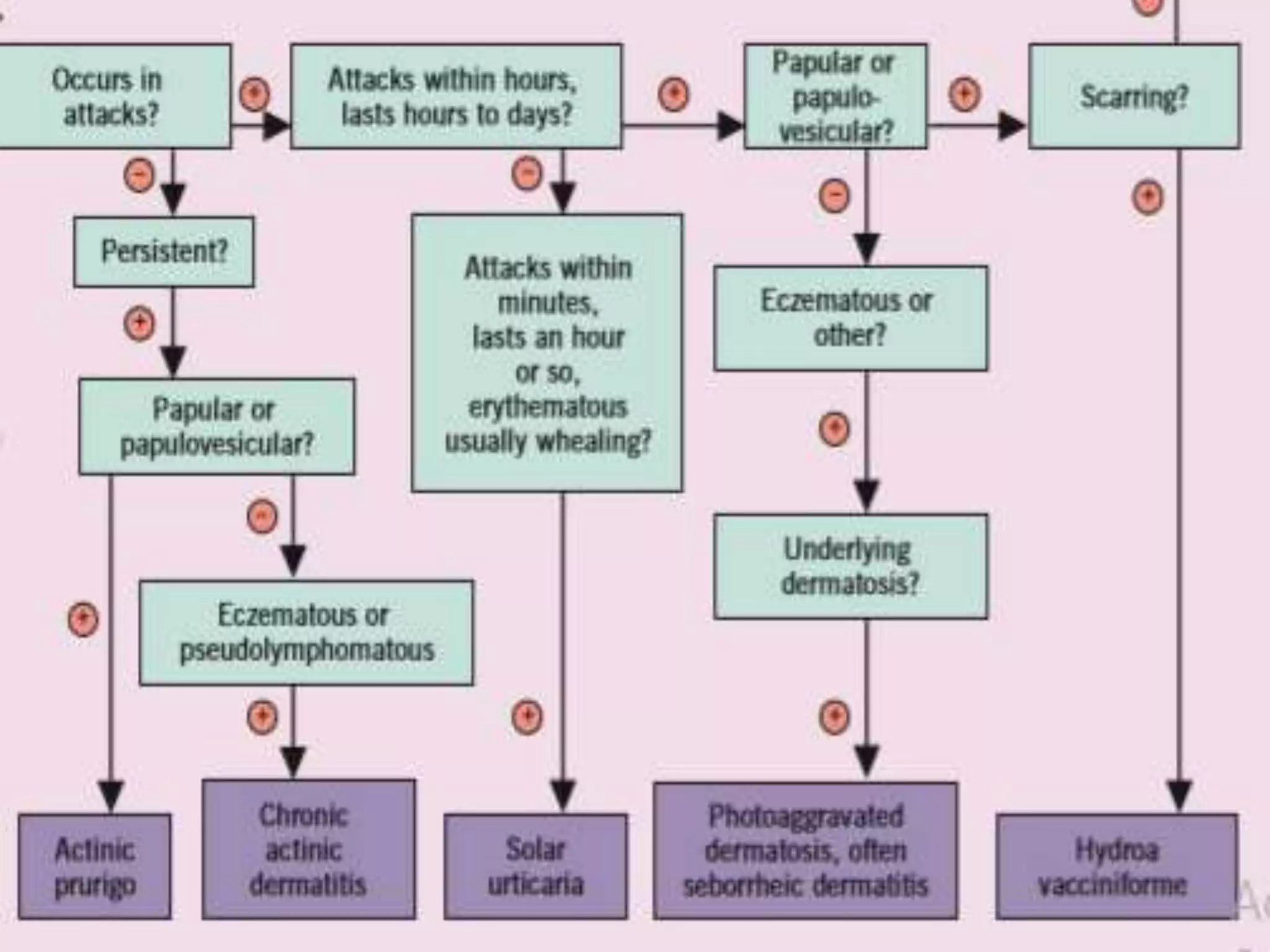 Approach to photodermatoses | PPTX