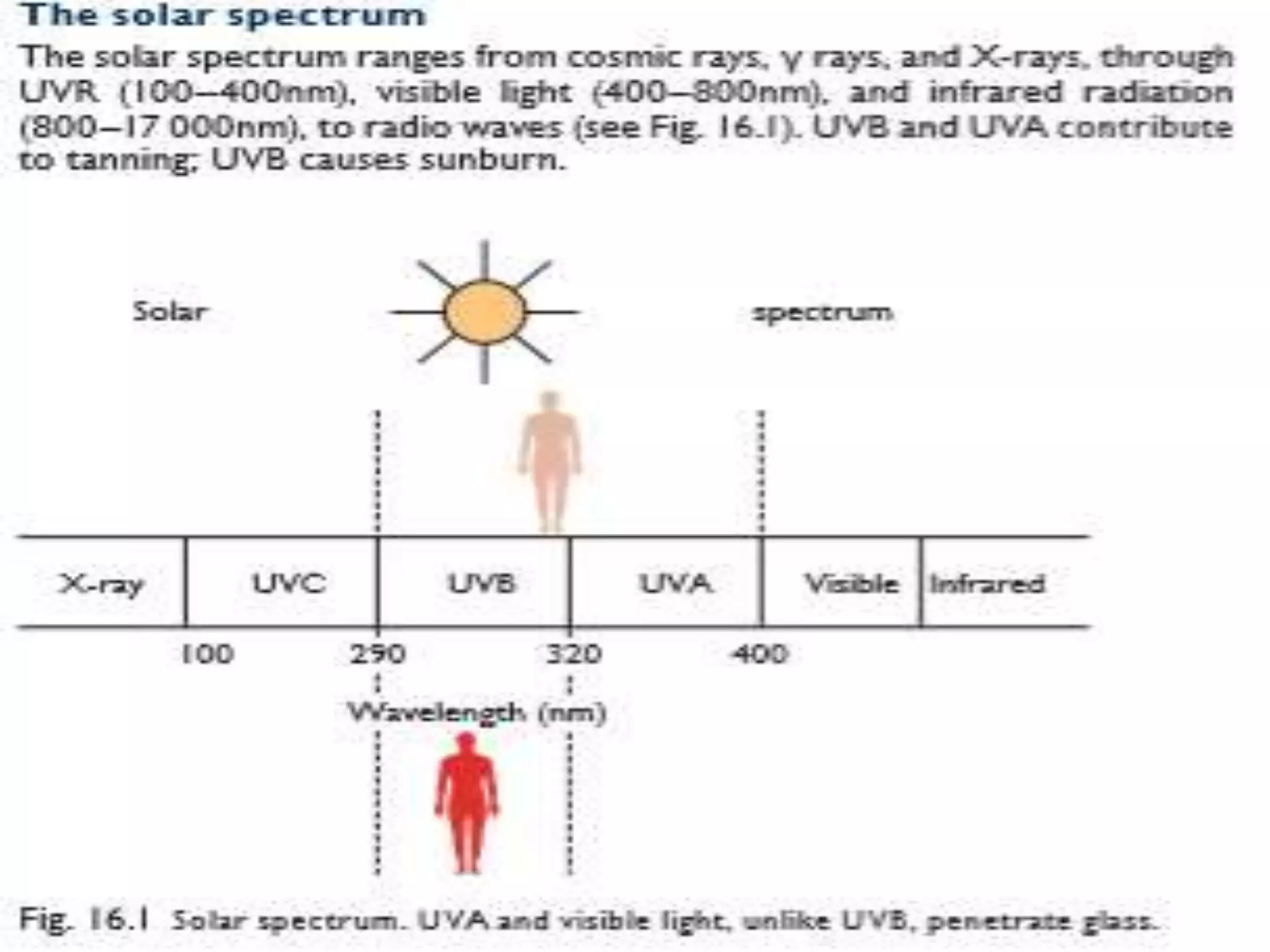 Approach to photodermatoses | PPTX