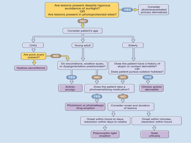 Approach to photodermatoses | PPTX