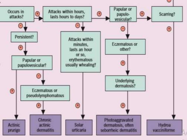 Approach to photodermatoses | PPTX
