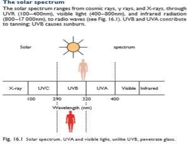 Approach to photodermatoses | PPTX