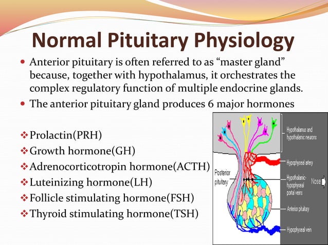Approach to pituitary tumours | PPTX