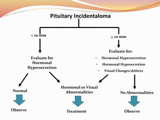 Approach to pituitary_tumours | PPTX