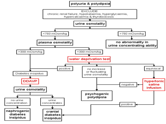 APPROACH TO POLYURIA AND POLYDIPSIA in children | PPTX