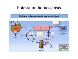 Approach to potassium disorder, causes, investigation, ecg changes ...