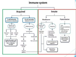 approach to primary Immunodeficiency in children.pptx