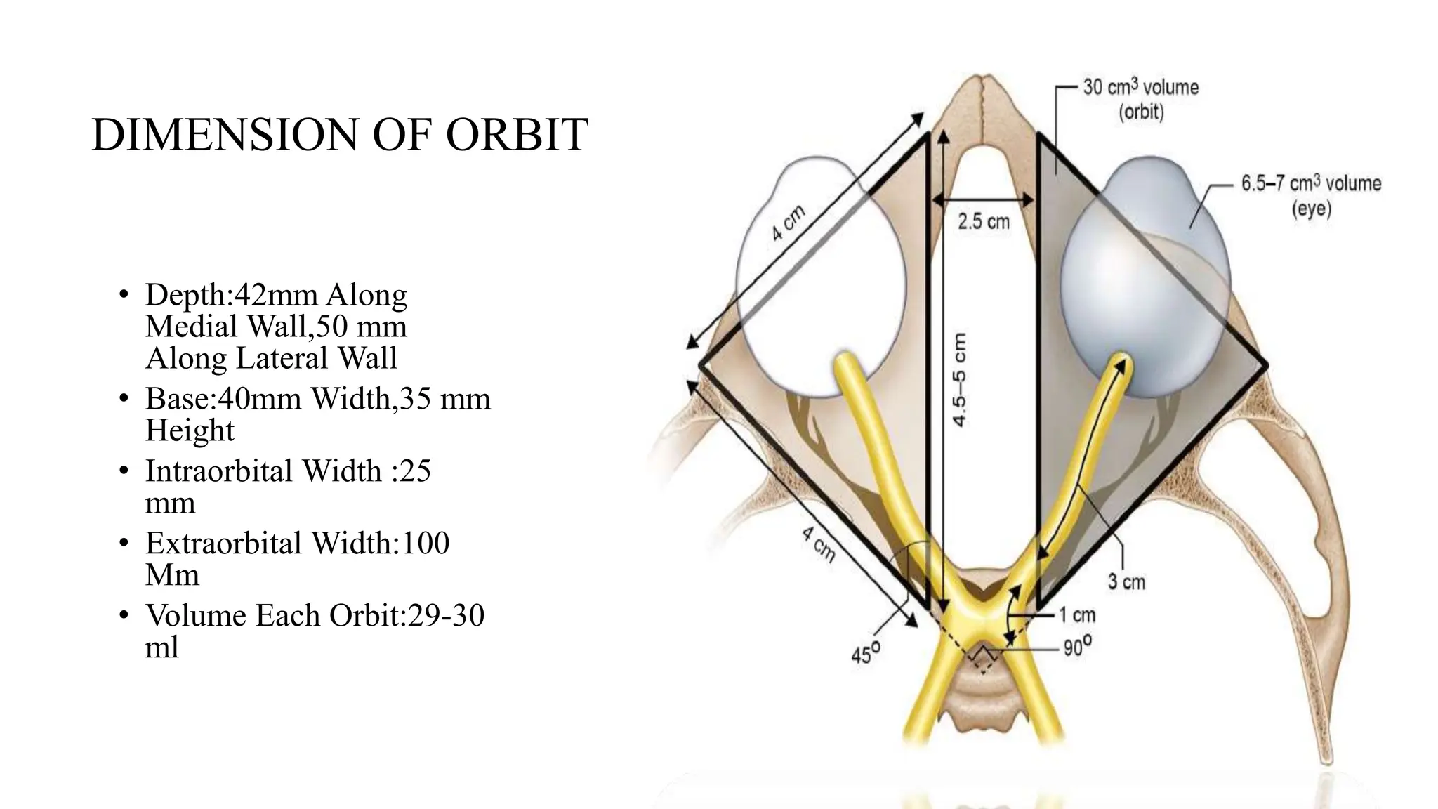 APPROACH TO PROPTOSIS.pptx..................... | PPTX