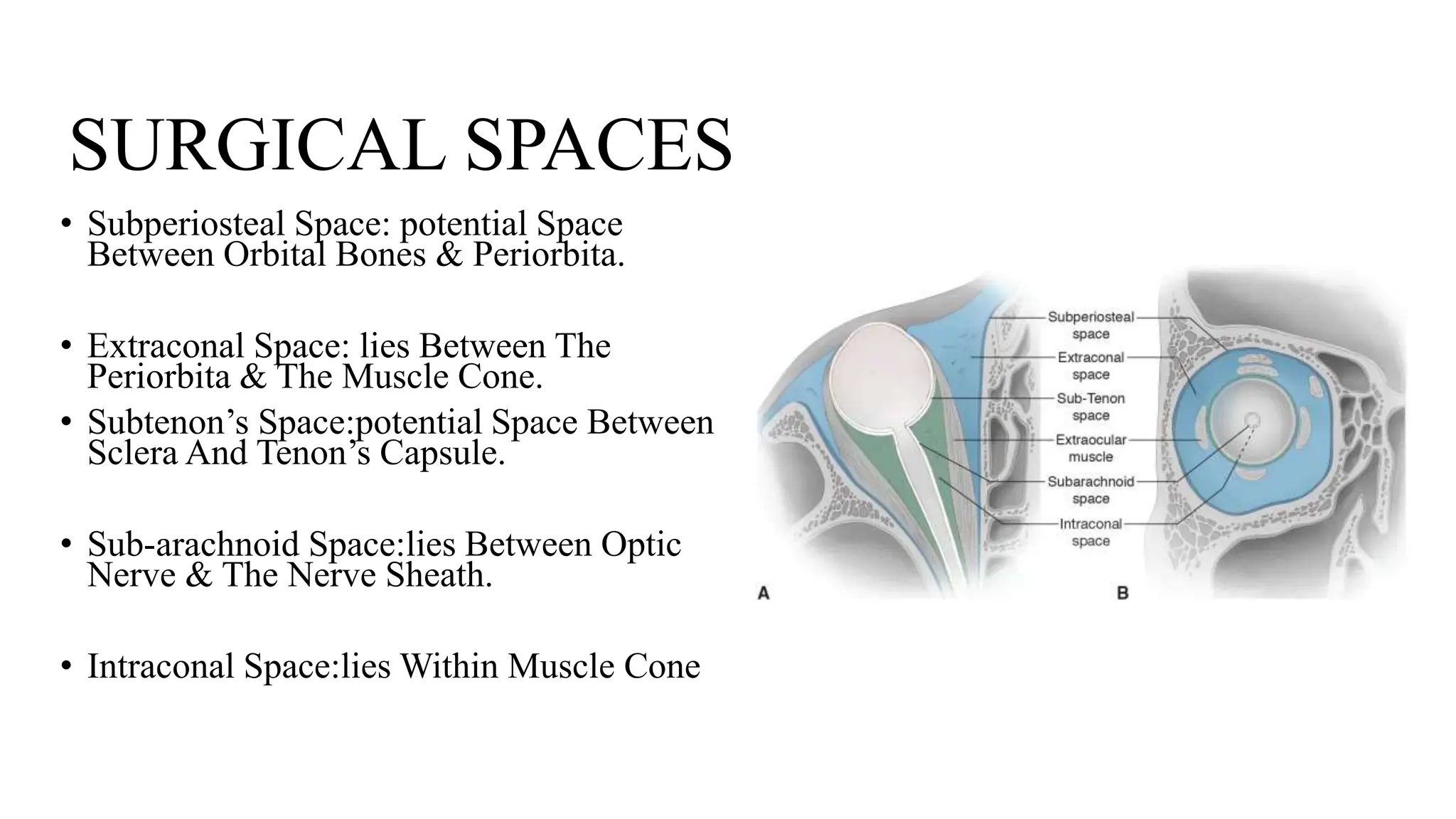 APPROACH TO PROPTOSIS.pptx..................... | PPTX