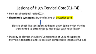Approach to quadriparesis | PPTX