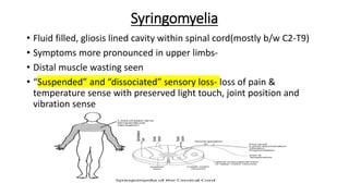 Approach to quadriparesis | PPTX