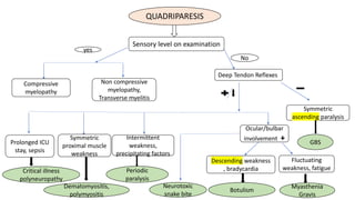 Approach to quadriparesis | PPTX