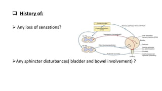 Approach to quadriparesis | PPTX