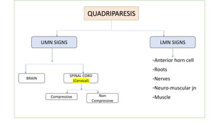 Approach to quadriparesis | PPTX