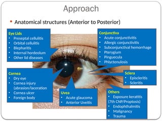 Approach to RED EYE and eye diseases pptx | PPTX