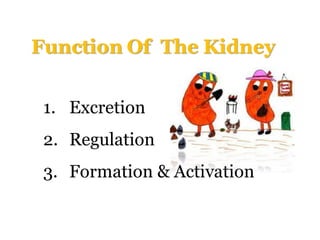 Approach to renal patient 2 | PDF | Lung and Respiratory Health ...