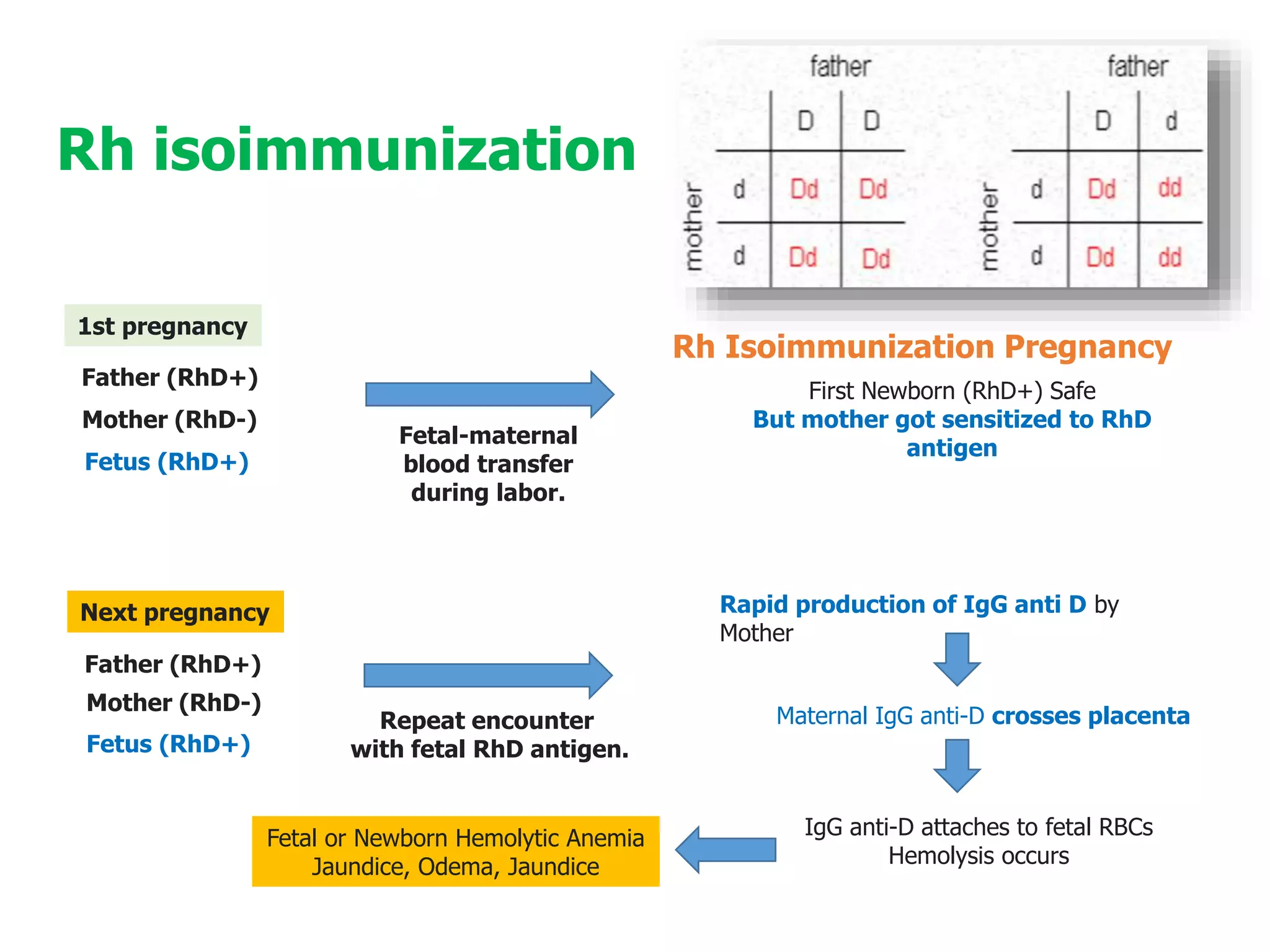 approach to Rh Isoimmunization Maternal and neonatal aspects | Dr ...